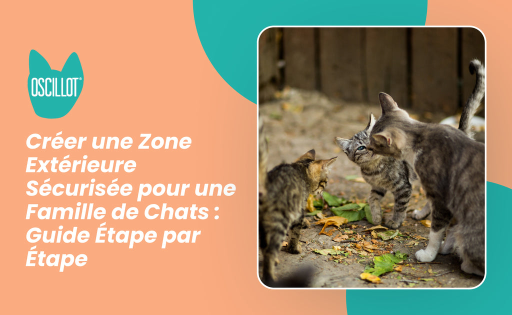 Créer une Zone Extérieure Sécurisée pour une Famille de Chats : Guide ...